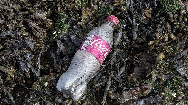 Petition · Tell Coca-Cola, the largest plastic polluter in the word ...