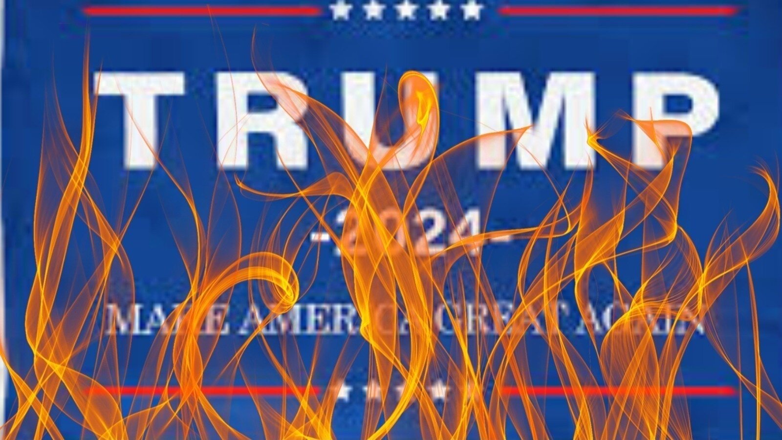 Petition · Compel Early Transition of Presidential Powers in 2025 ...