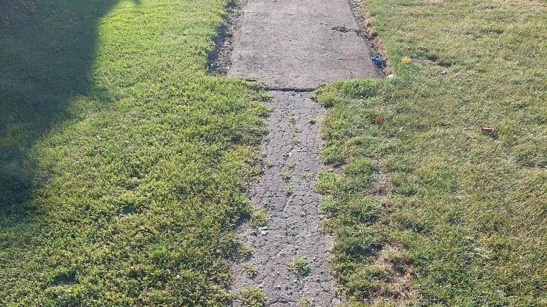 Petition · REPAVE THE UNSAFE PATH IN ASHLEY OAKS PARK - Canada · Change.org