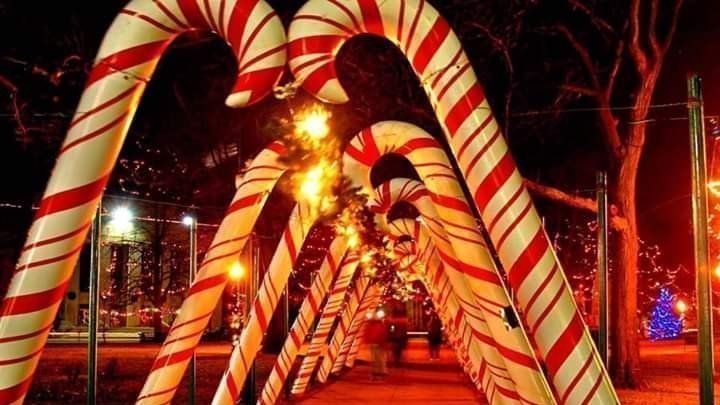 Petition · Return the Original Candy Canes to Candy Cane Lane in ...