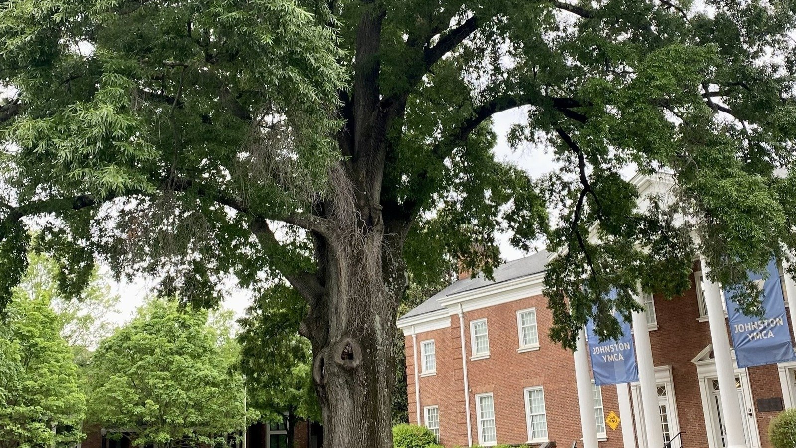Petition · Save NoDa's Trees (and green space!) at the Johnston YMCA ...