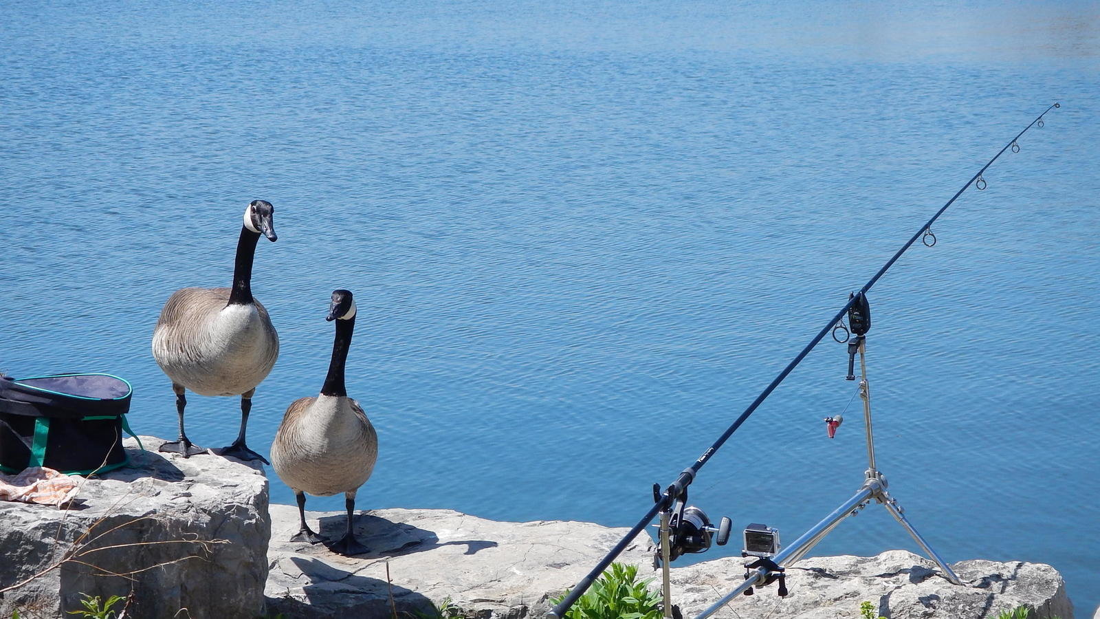 Petition · Allowing Canadian Anglers to use two rods when fishing ...