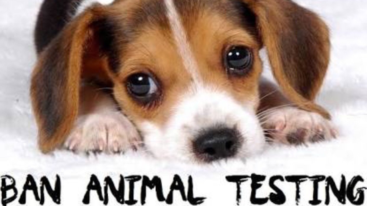 Petition · Stop animal testing on products sold in Australia to save ...