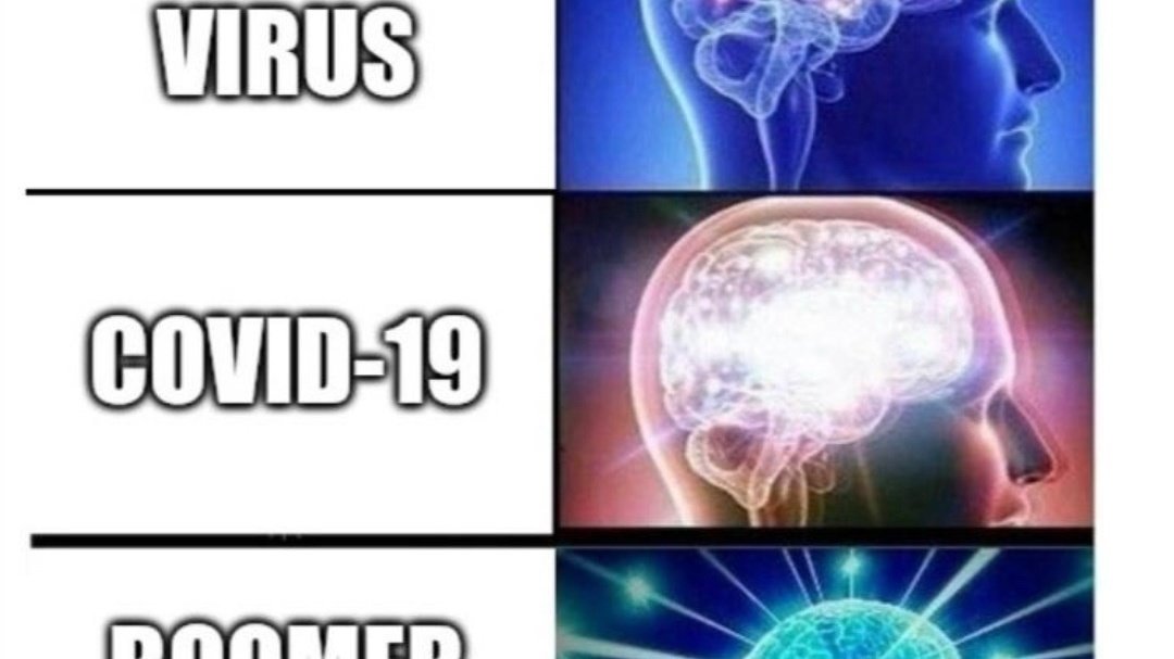 Petition · Change “Corona Virus” name to “Boomer Remover” - United ...