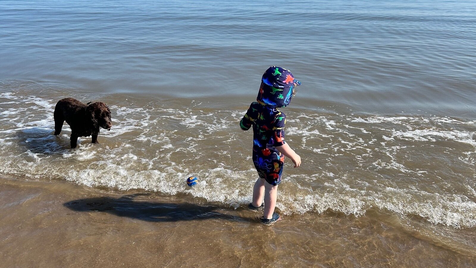 Petition · Fairly Split Rhos on Sea Beach for Dogs and Humans - United ...