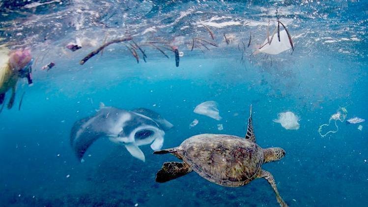 Petition · Reduce Plastic: Save the Environment - United States ...
