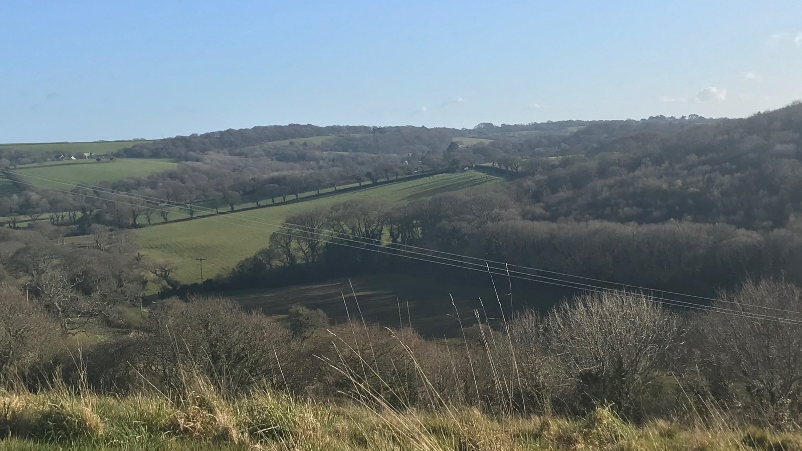 Petition · Shut Cornish borders and lift the lockdown in Cornwall ...