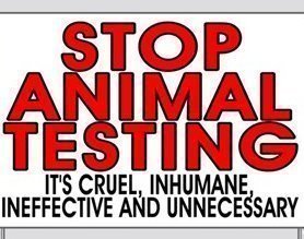 Petition · Help Stop Animal Testing - Australia · Change.org