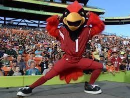 Petition · Change the Arizona Cardinals' mascot name to Cardi Beak ...