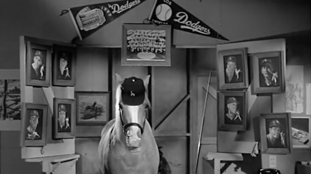 Petition · Put a statue of Mr. Ed at Dodger Stadium - United States ...