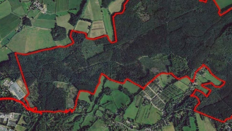 Petition · Provide a safe route to Ampfield Woods - United Kingdom ...