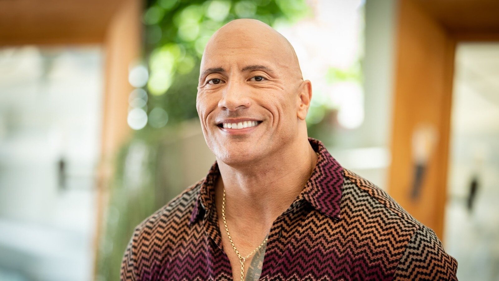 Petition · Kamala Harris, Please Choose Dwayne "The Rock" Johnson for ...