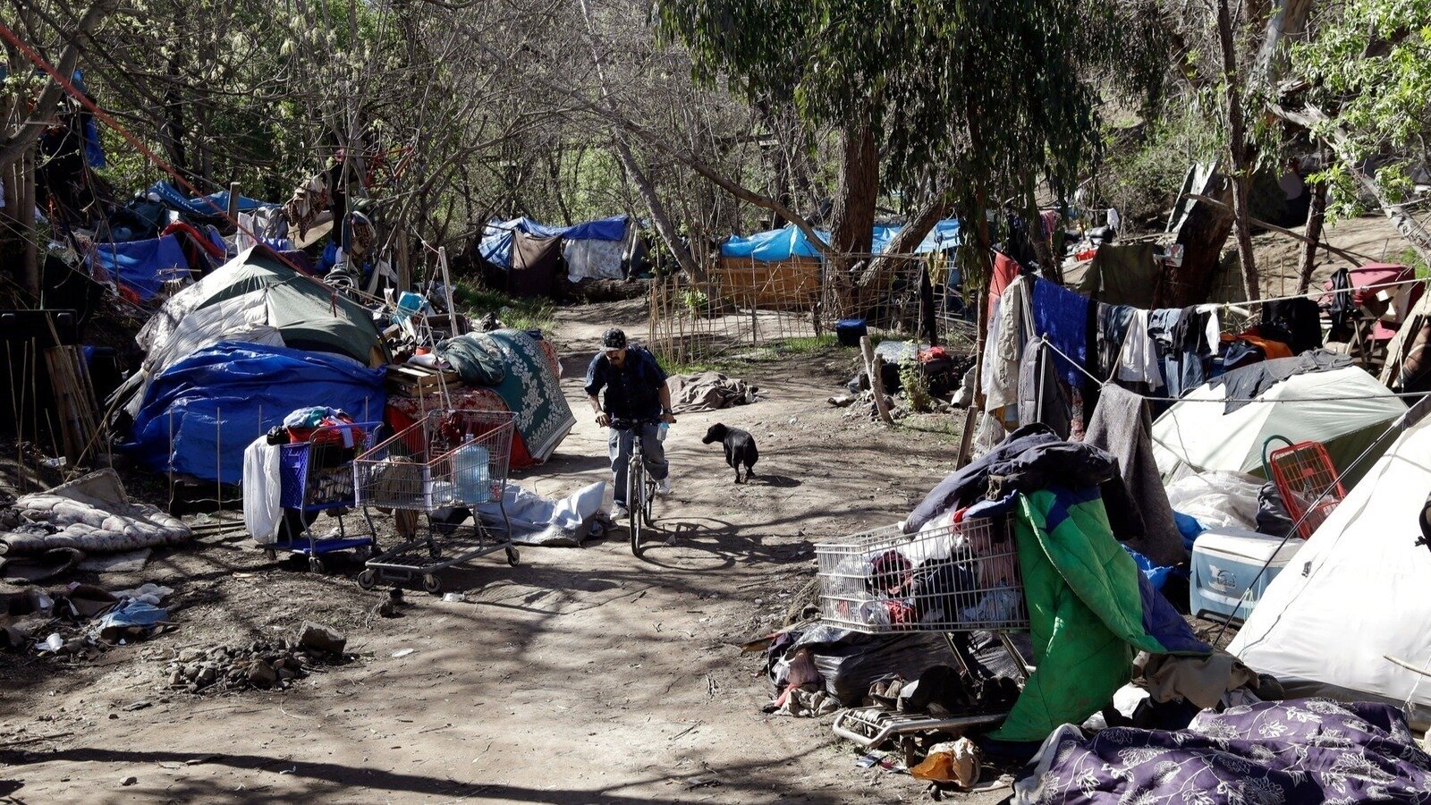 Petition · Hygiene for the Homeless of Northern California - Santa Rosa ...