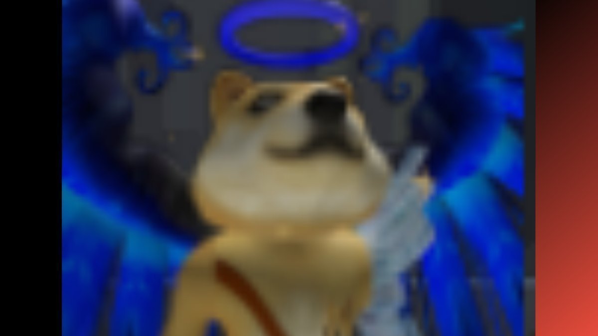 Petition · Get Rid of Doge - United States · Change.org