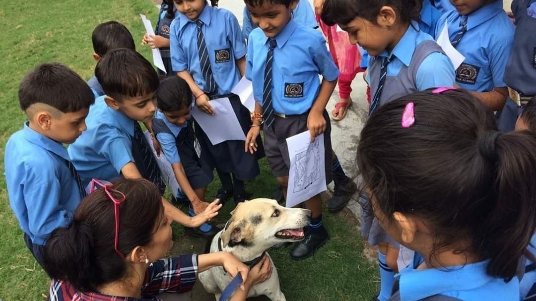 Petition update · Subject on Animal Welfare a must for schools and ...