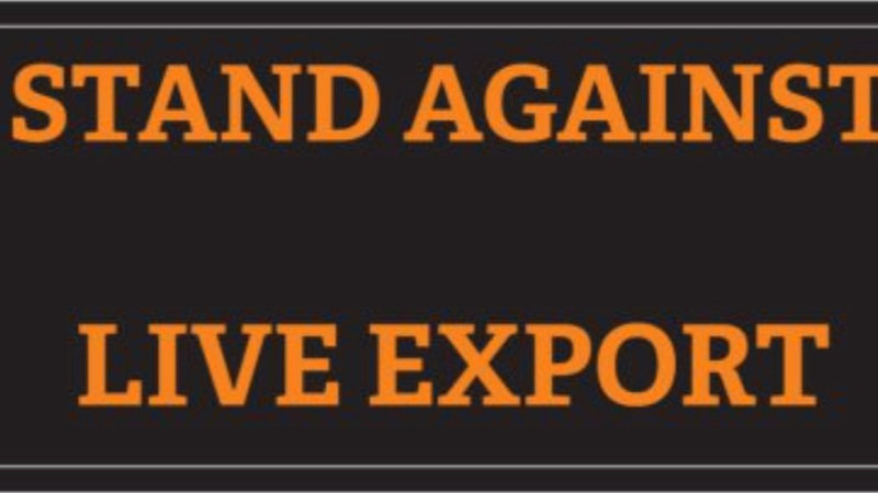 Petition update · Delayed and Red Tape. · Change.org