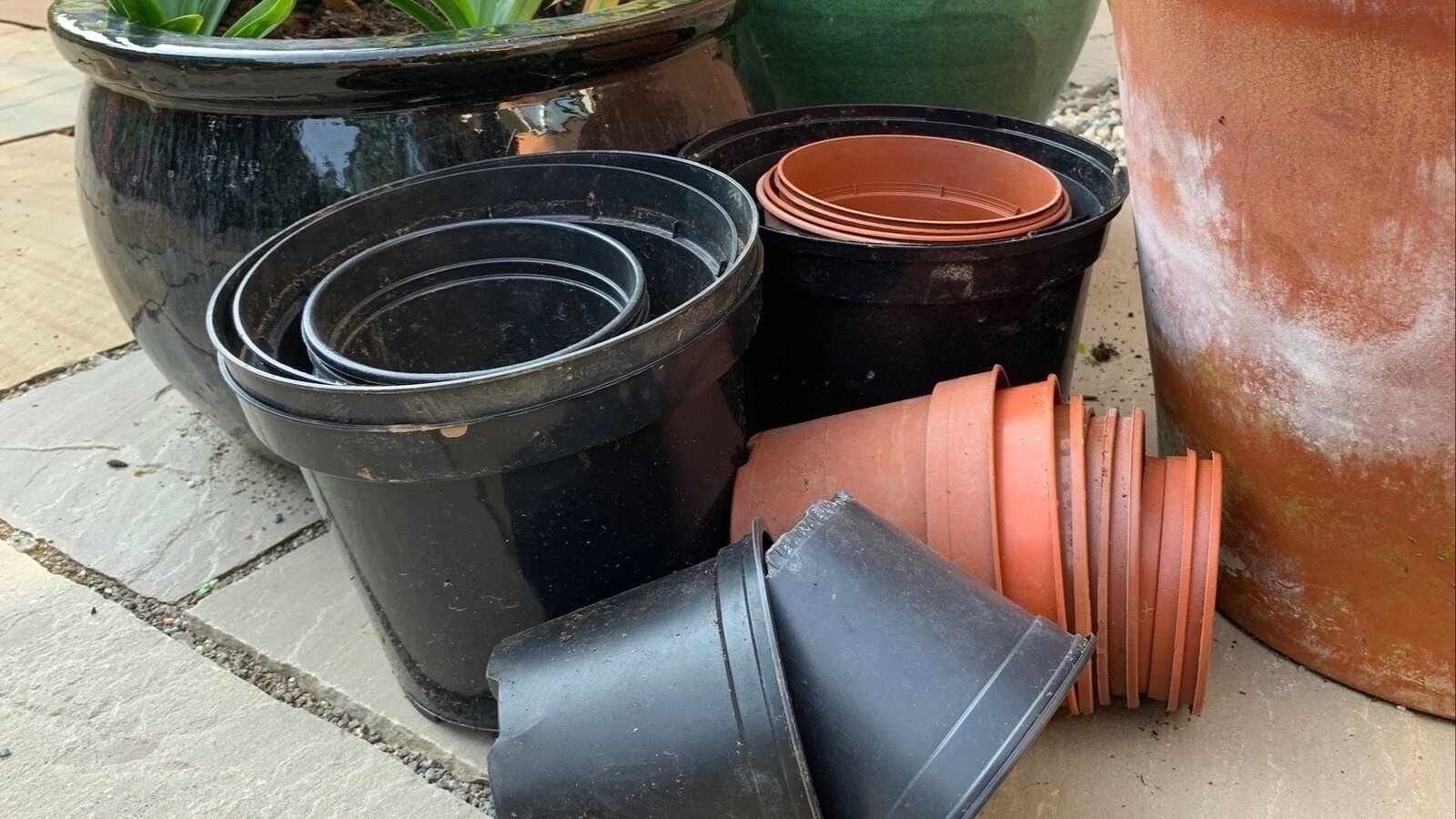 Petition · Stop the pots! Persuading the gardening industry to speed up ...