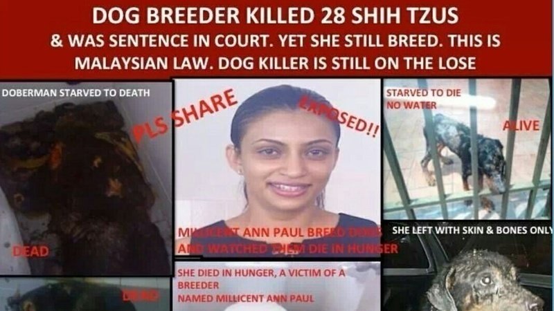 Petition · Malaysia IPD Shah Aam Police: Pls release Puspa Rani(Founder ...