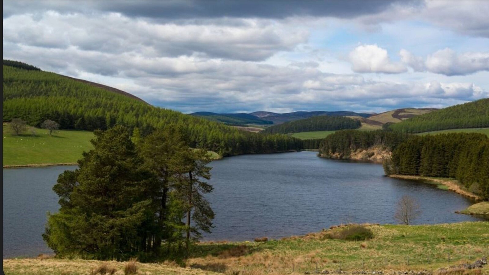 Petition · Stop police and Narcissist’s from further victimising and ...