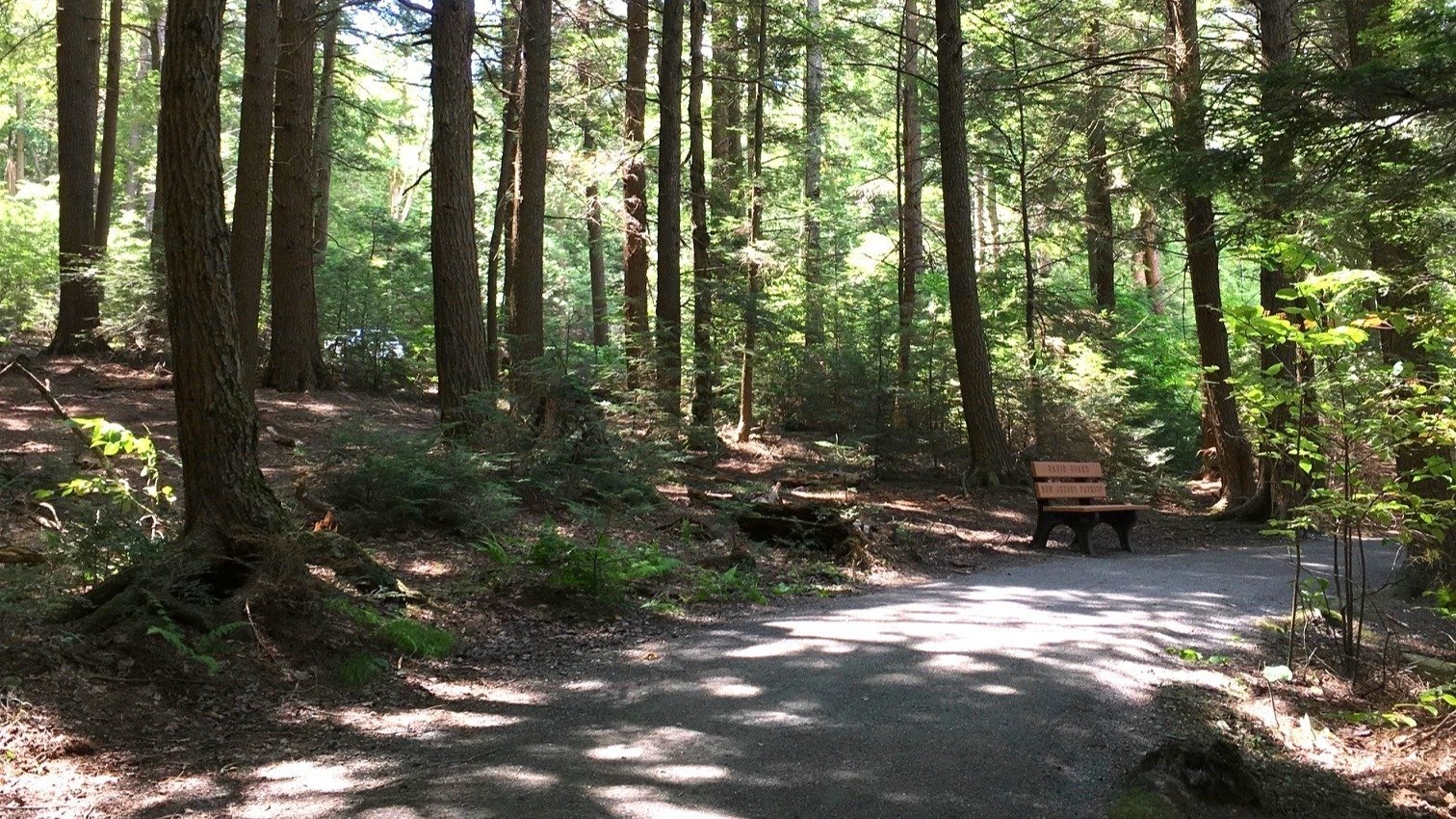 Topic · Massachusetts dcr · Change.org