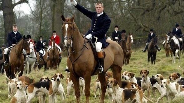 Petition · Ban hunting with dogs in Northern Ireland - United Kingdom ...