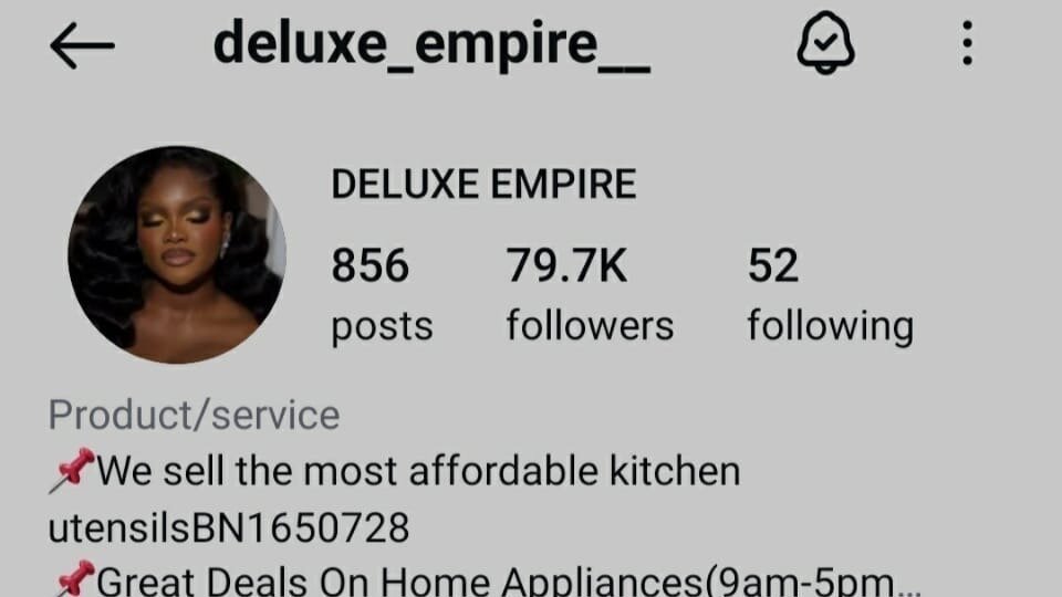 Petition · Hold Instagram Accountable for Allowing Scammer Accounts ...