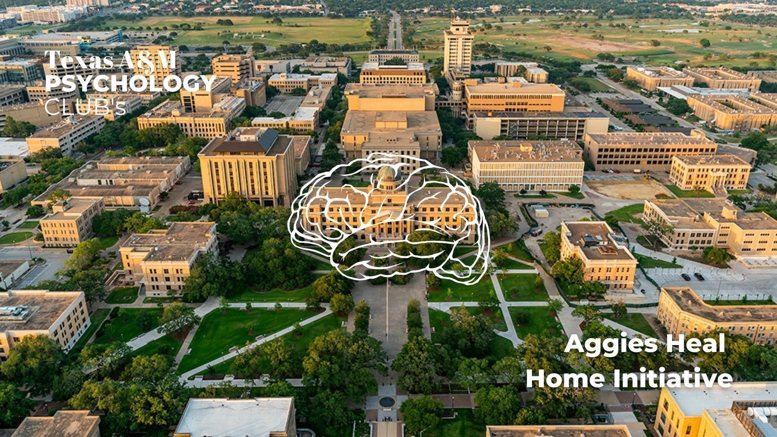 Petition · Mental Health Reform at Texas A&M University (Aggies Heal ...