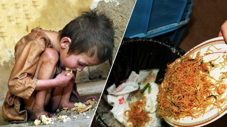 Petition · India Needs An Anti-Food Waste Law - India · Change.org