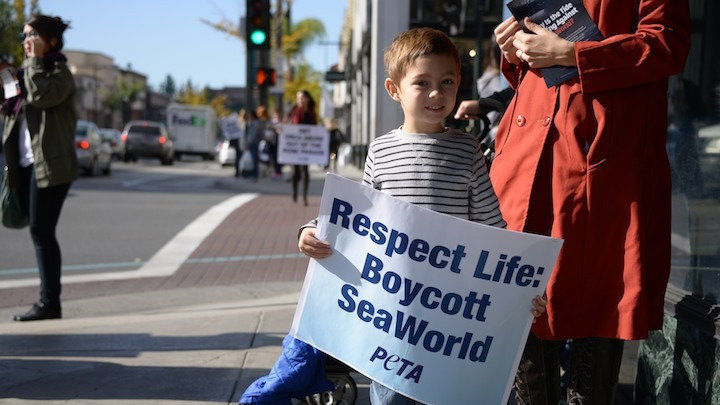Petition · Stop letting SeaWorld manipulate our kids! - United States ...