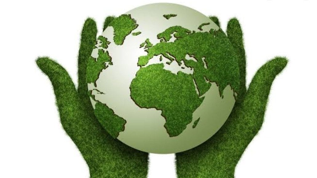 Petition · Save animals,save the beauty of the Earth · Change.org