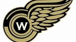 Petition · Darren MacMillan for U18 A Goldwings Coach - Canada · Change.org