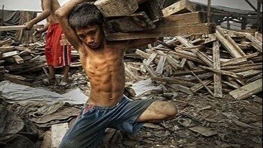 Petition · End Child Labour and Protect Our Children's Future - Ireland ...