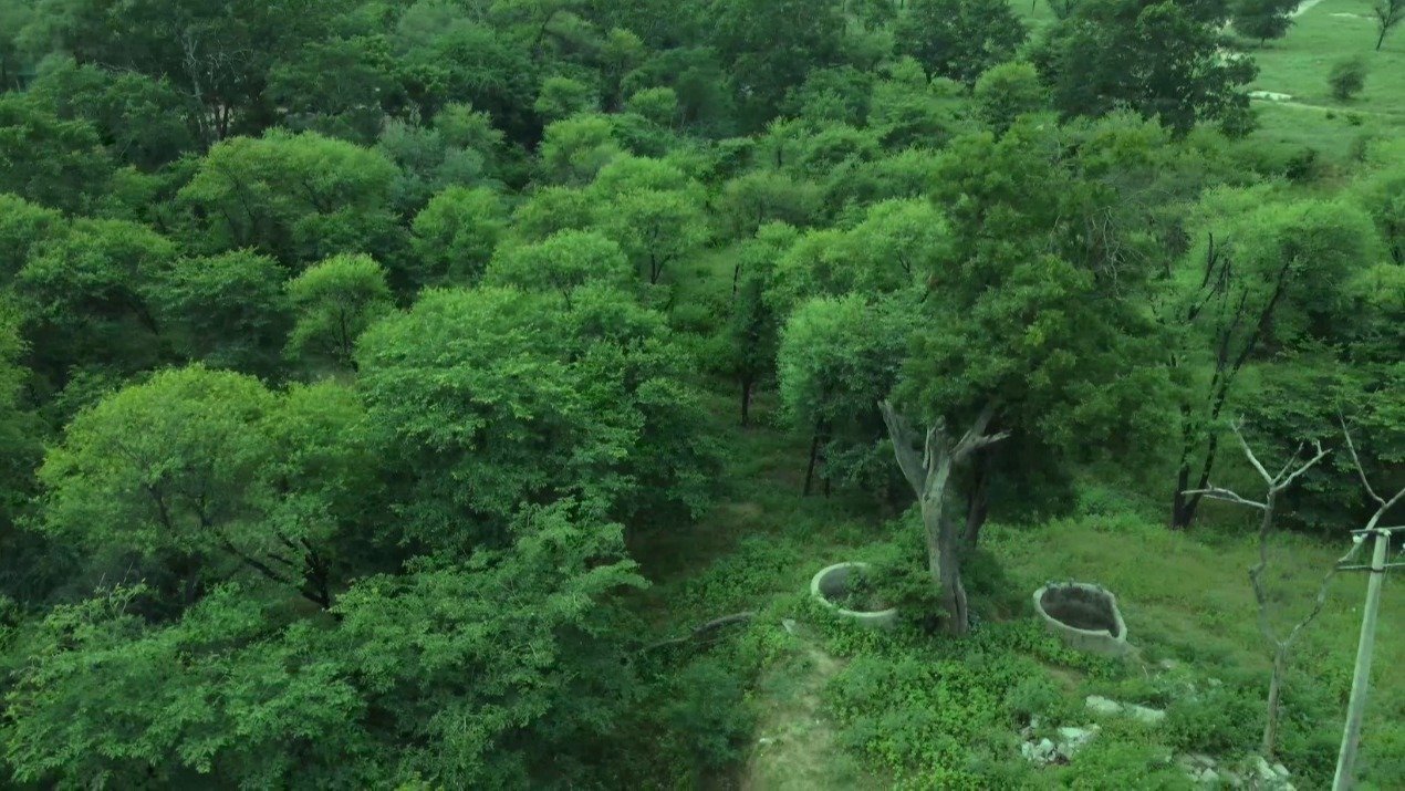 Petition update · New Construction Has Started on Forest Land · Change ...