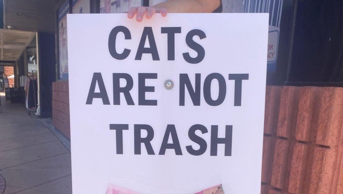 Petition · Demand Justice for Cats Killed in Trash Compactor - United ...