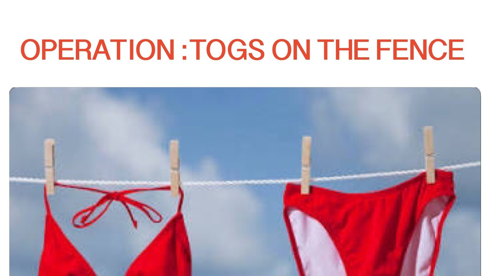 Petition update · OPERATION - TOGS ON THE FENCE · Change.org · Change.org