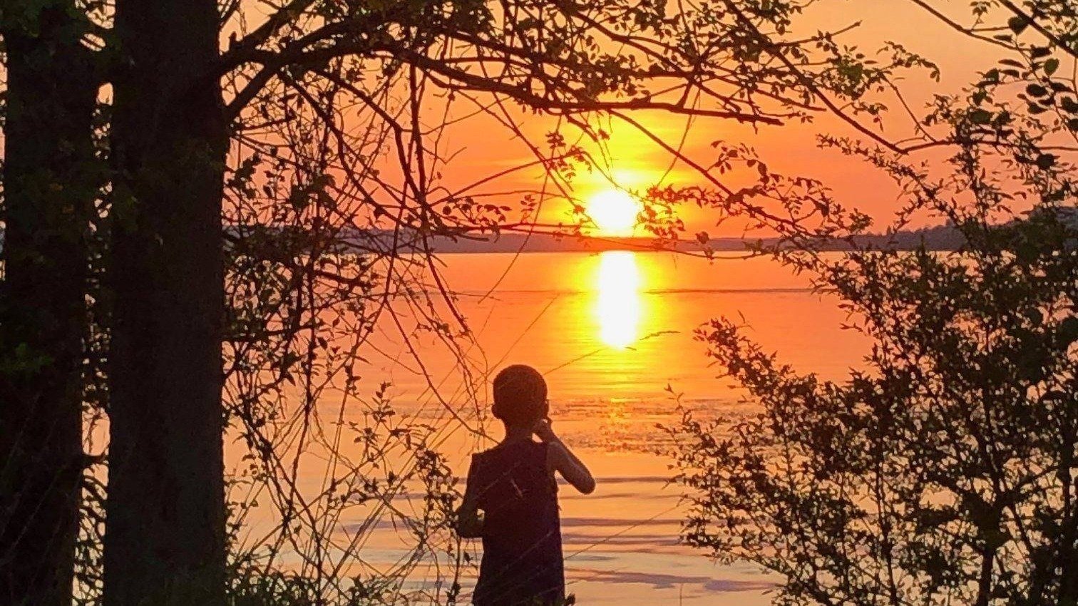 Petition · Prohibit the Herbicide ProcellaCOR in Chautauqua Lake ...