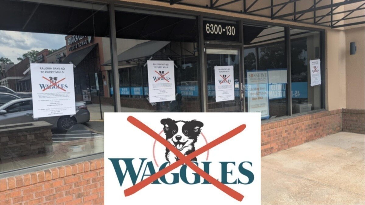 Petition · Stop new PUPPY MILL store "Waggles" from opening in Raleigh ...