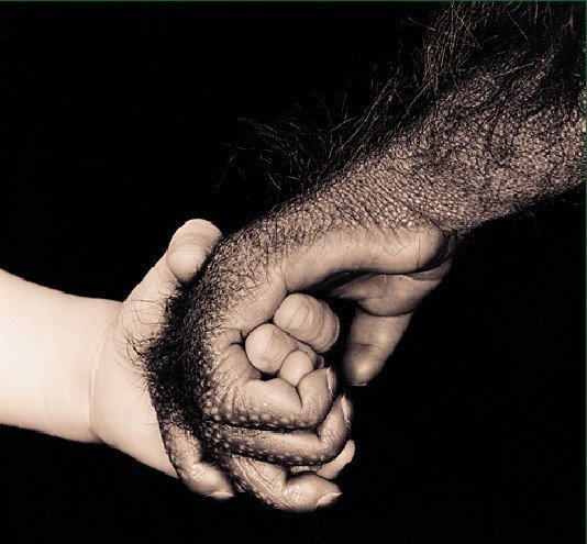 Petition · Stop Animal Cruelty At Zoos And Circuses and Farms. etc ...