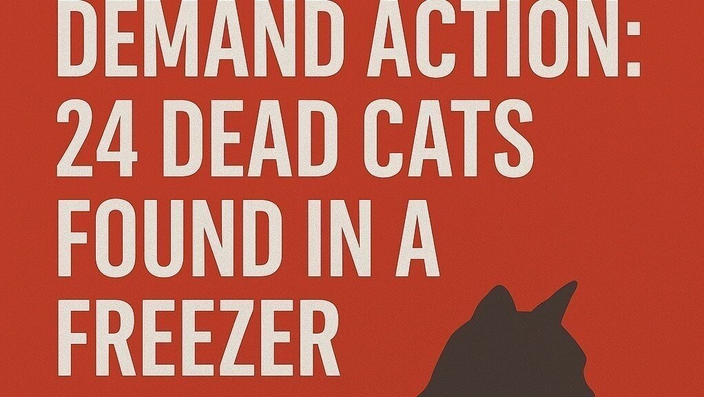 Petition · Demand Action from Trumann Officials - 24 Dead Cats in a ...