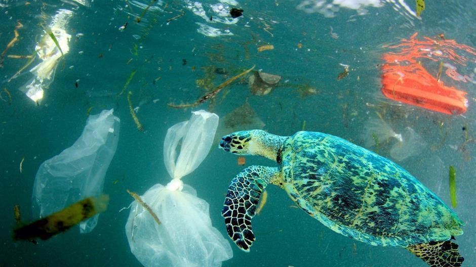 Petition Make Walmart Charge 0 50 For Plastic Bags Change Petition Make Walmart Charge 0 50 For Plastic Bags Change