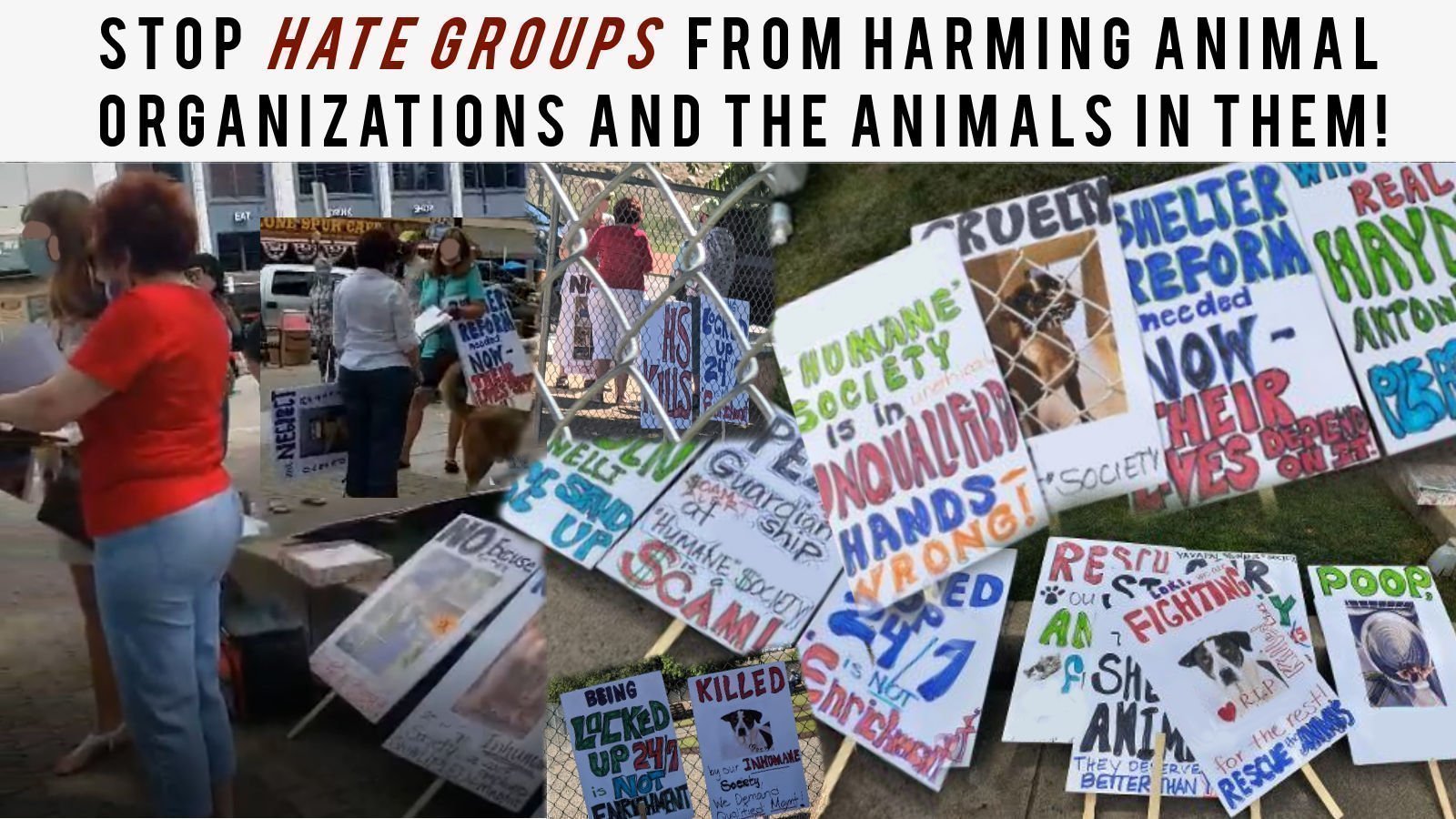 Petition · Stop hate groups victimizing animals by using them as a tool ...