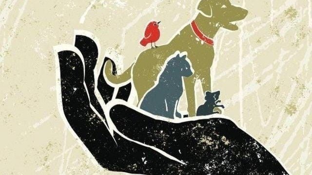 Petition · Let's Fight Animal abuse | Stop Mill Over Breeding ...