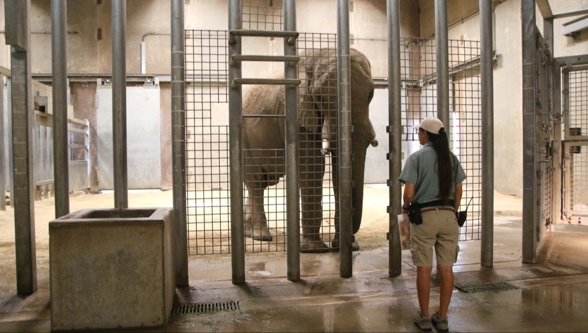 Petition · Freedom for Animals - United States · Change.org