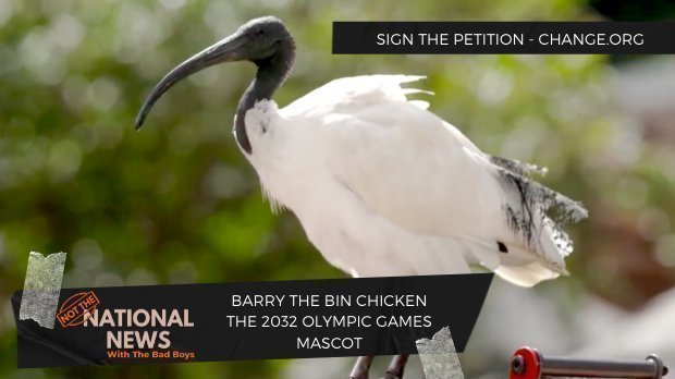 Petition · Let's Make 'Barry The Bin Chicken' The 2032 Brisbane ...