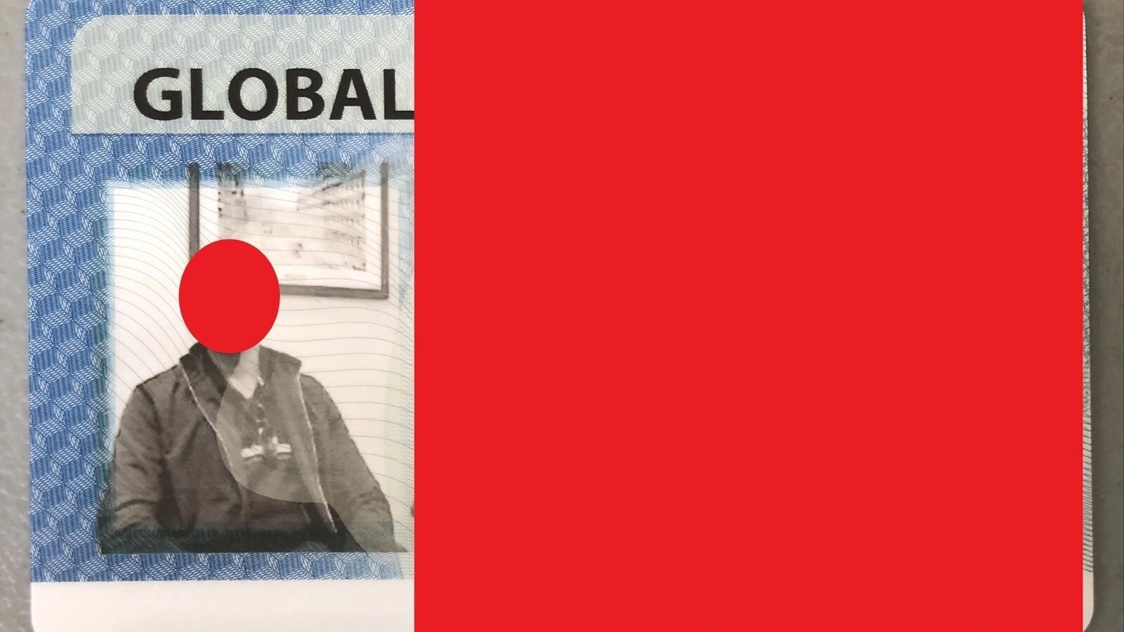 Petition · Request to Enhance Global Entry Photo Quality - United ...