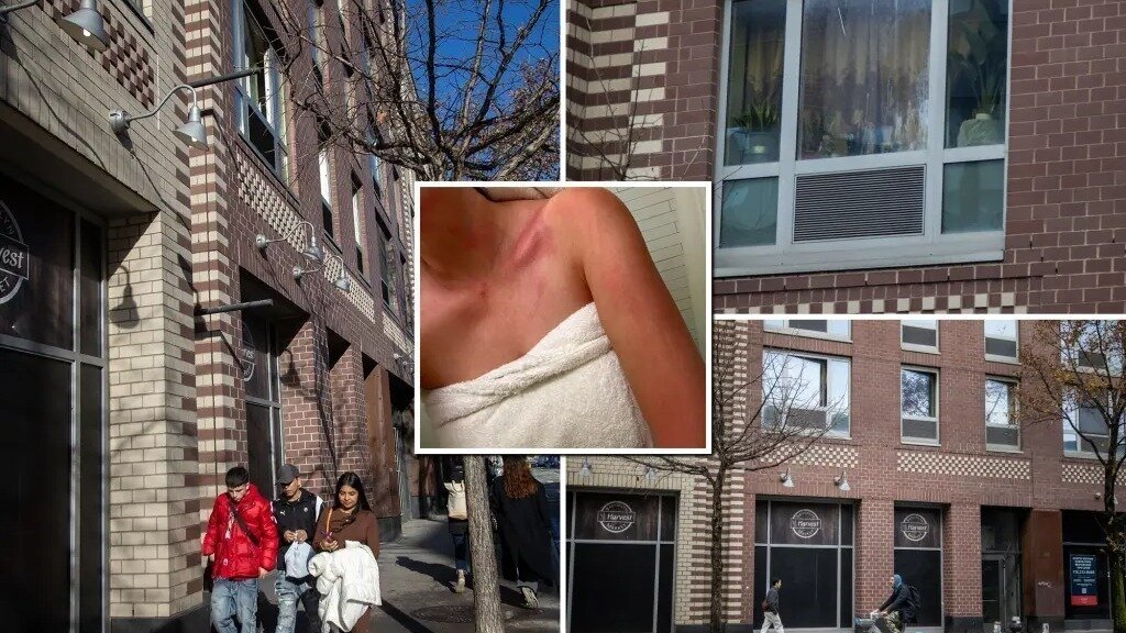 Petition · Force NYPD to Act on Assaults at The Edge Williamsburg ...