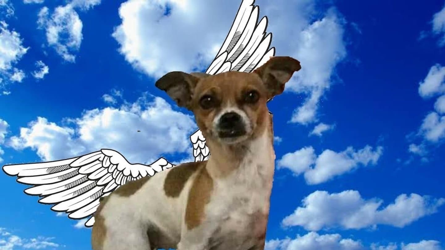 Petición · 100 años de Cárcel para Aimep3 por intento de homicidio ...