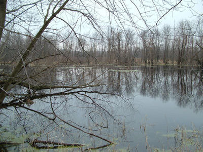 Petition · Create the Grand Kankakee Marsh National Wildlife Refuge ...