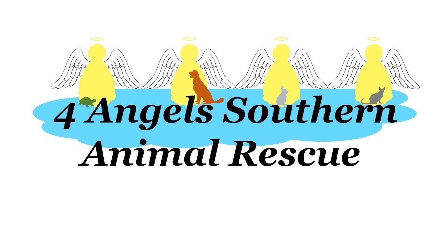 Petition · Keep 4 Angels Southern Animal Rescue Operational ...