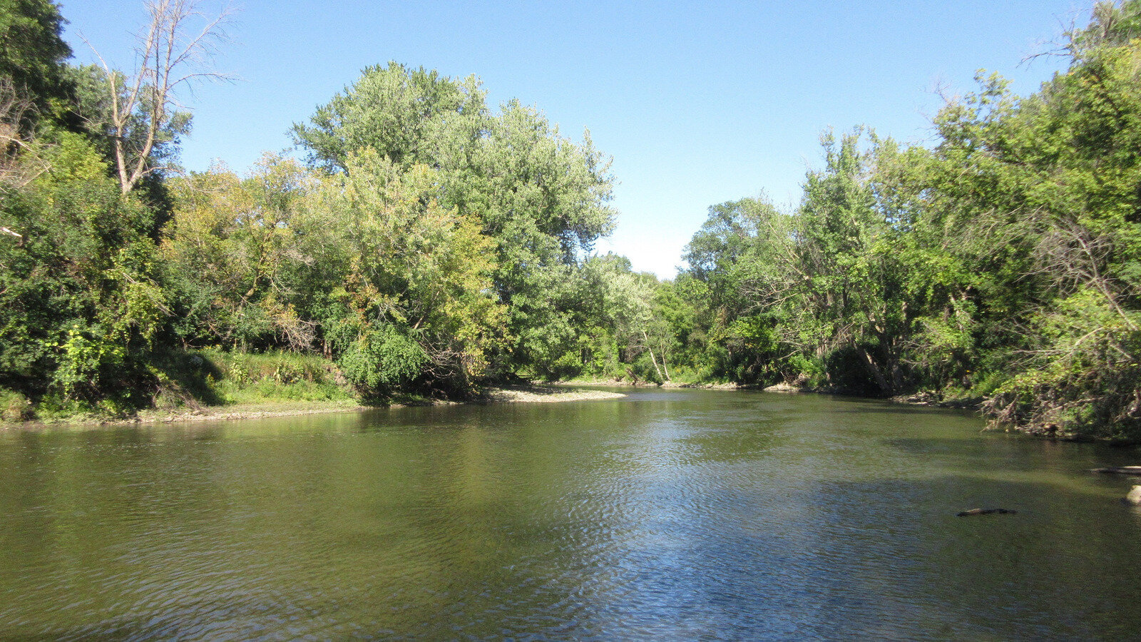 Petition · PROTECT Our WATER, Environment & Future! No De-Watering ...